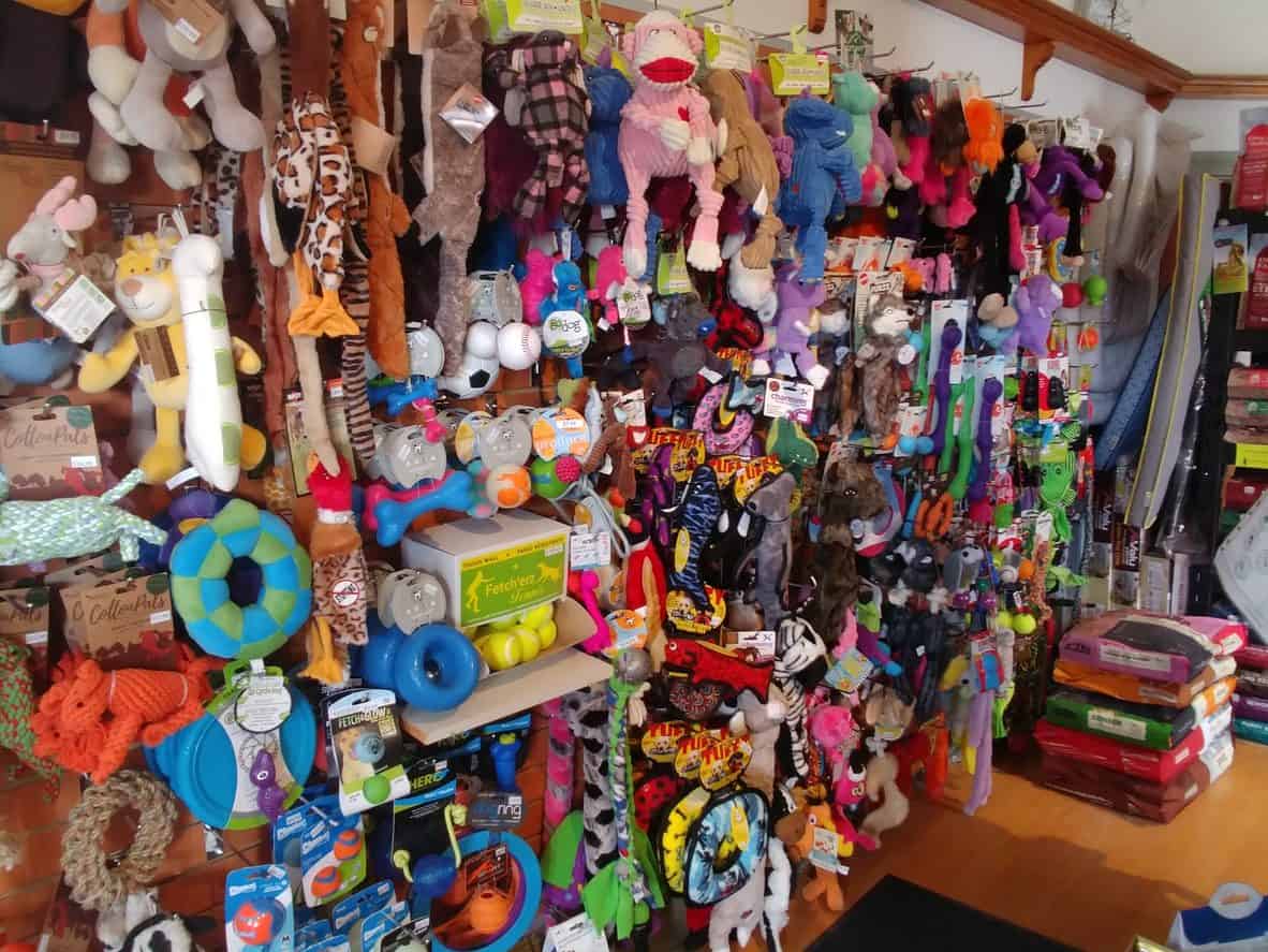 Whistle Stop Pet Shop | Serving Barrie, Oro & Springwater