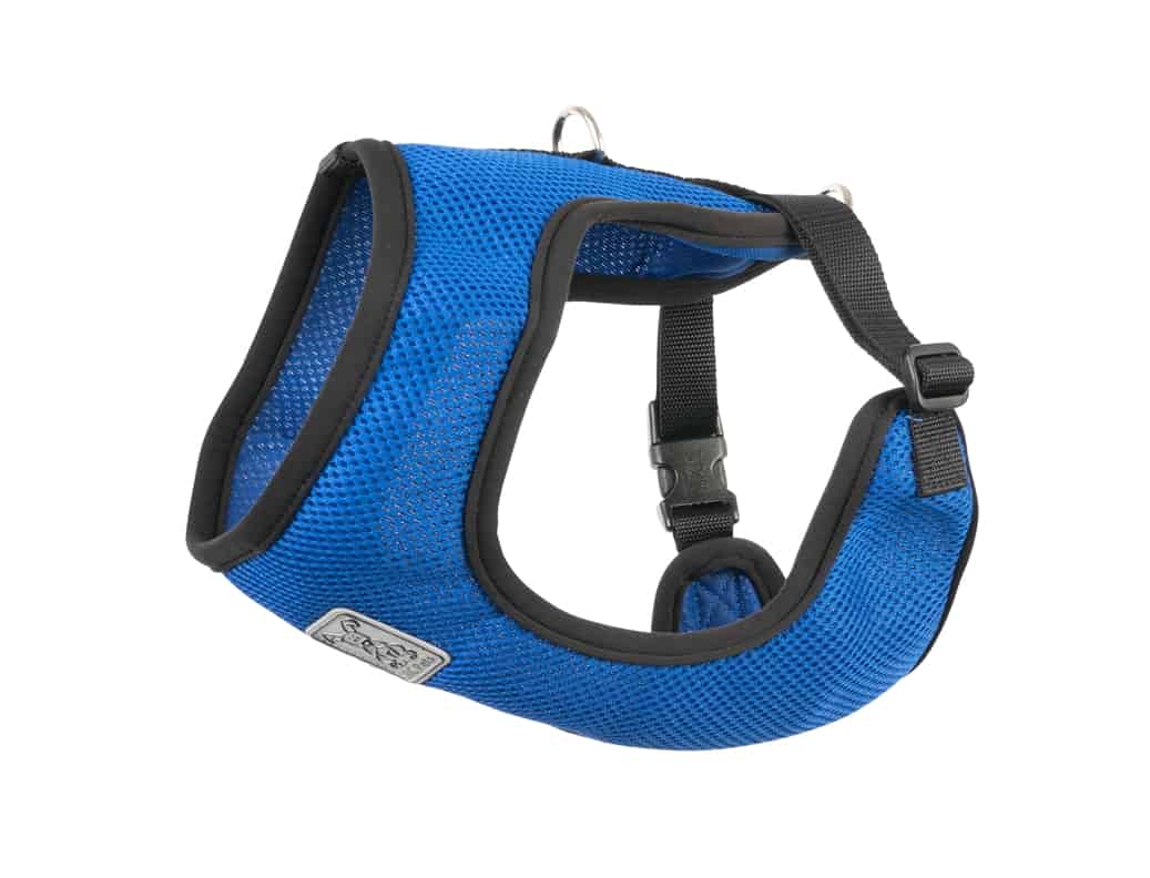 RC Pets Cirque Harness - Whistle Stop Pet Shop